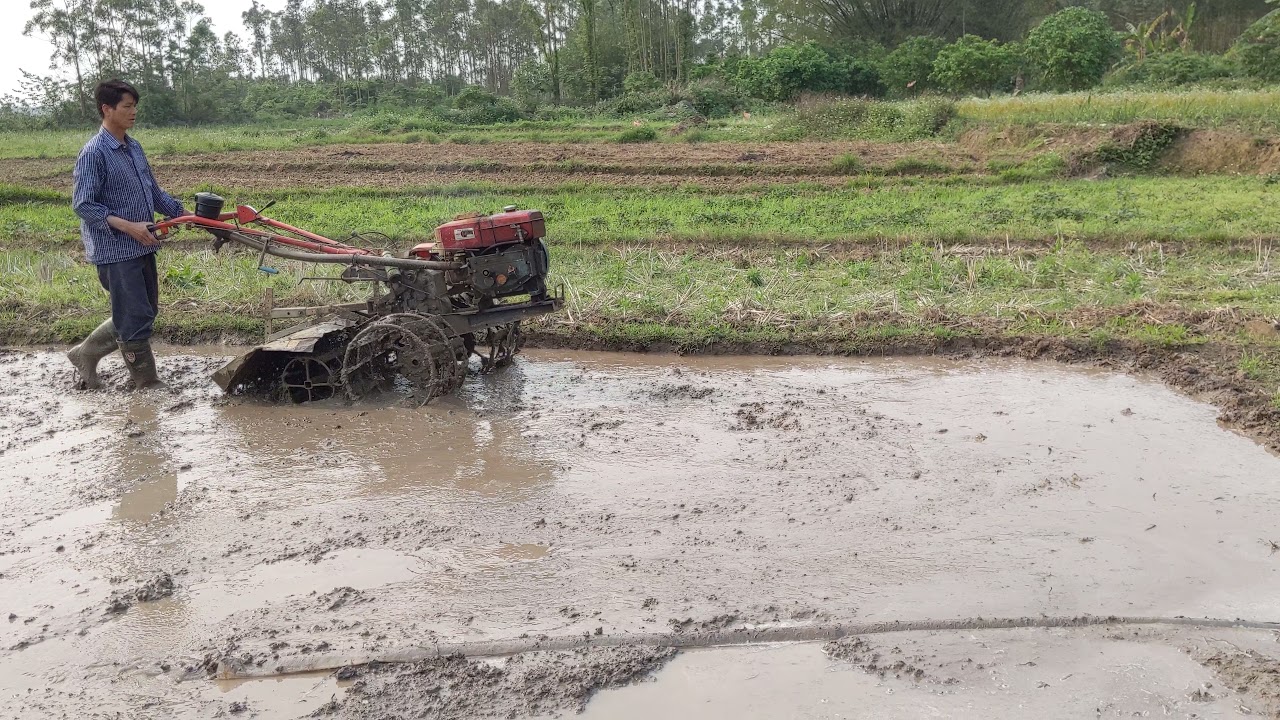 This is ME, plowing the rice field, tractor plowing water field. - YouTube