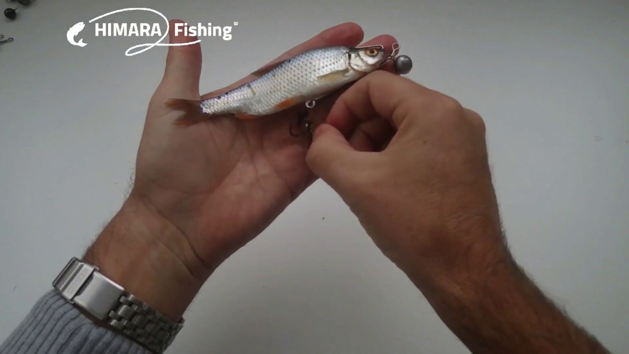 MONTAGE GARDON SUR LA MONTURE EDEN D'HIMARA FISHING - YouTube