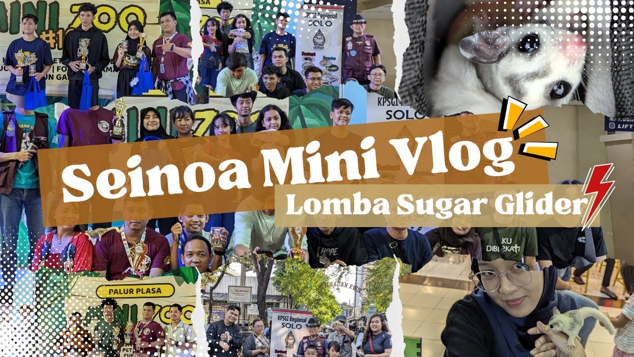 MINI VLOG IKUT LOMBA SUGAR GLIDER DI PALUR PLAZA SOLO - YouTube