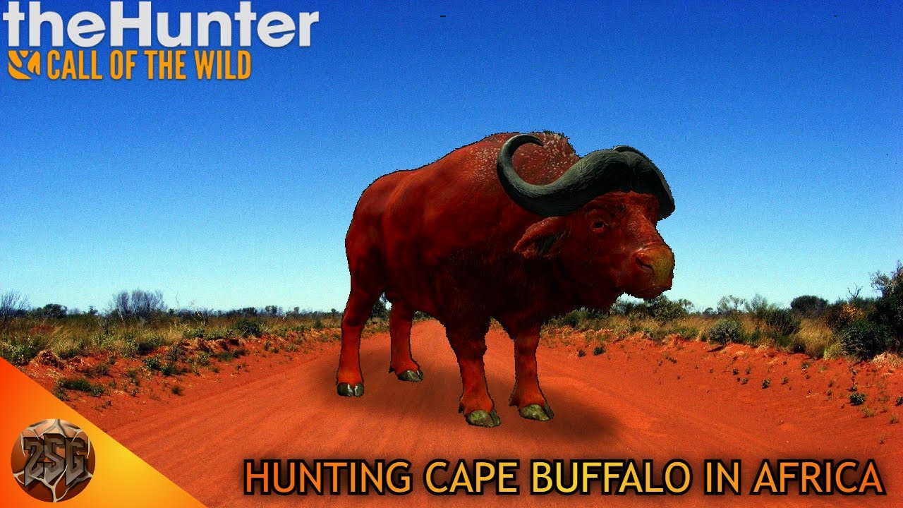 HUNTING CAPE BUFFALO IN AFRICA | TheHunter:COTW - YouTube
