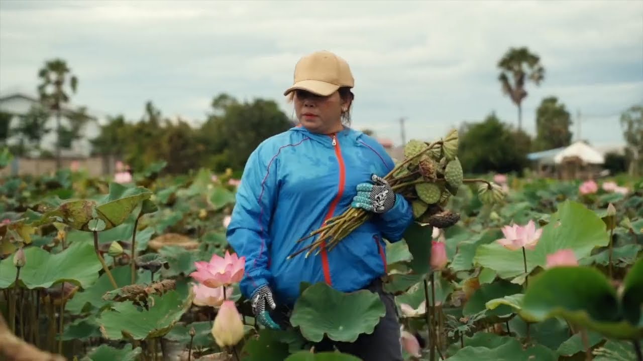 From Lotus Picker to Factory Ambassador - Better Factories Cambodia ...