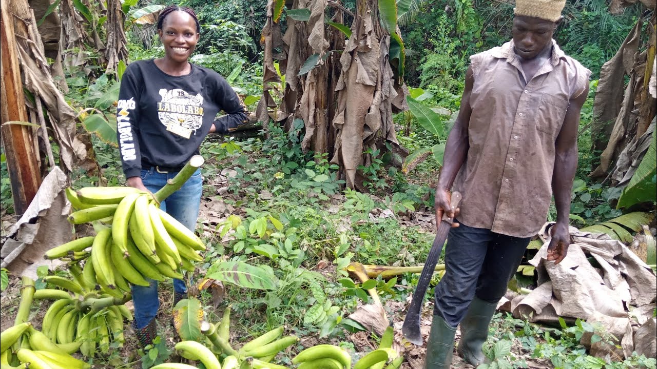 Desire for Success: Mastering the Role of a Farm Manager - YouTube