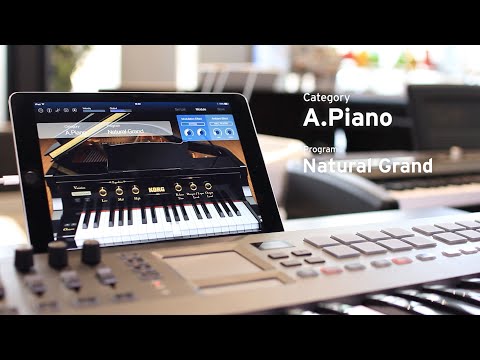 KORG Module for iPad | MOBILE SOUND MODULE