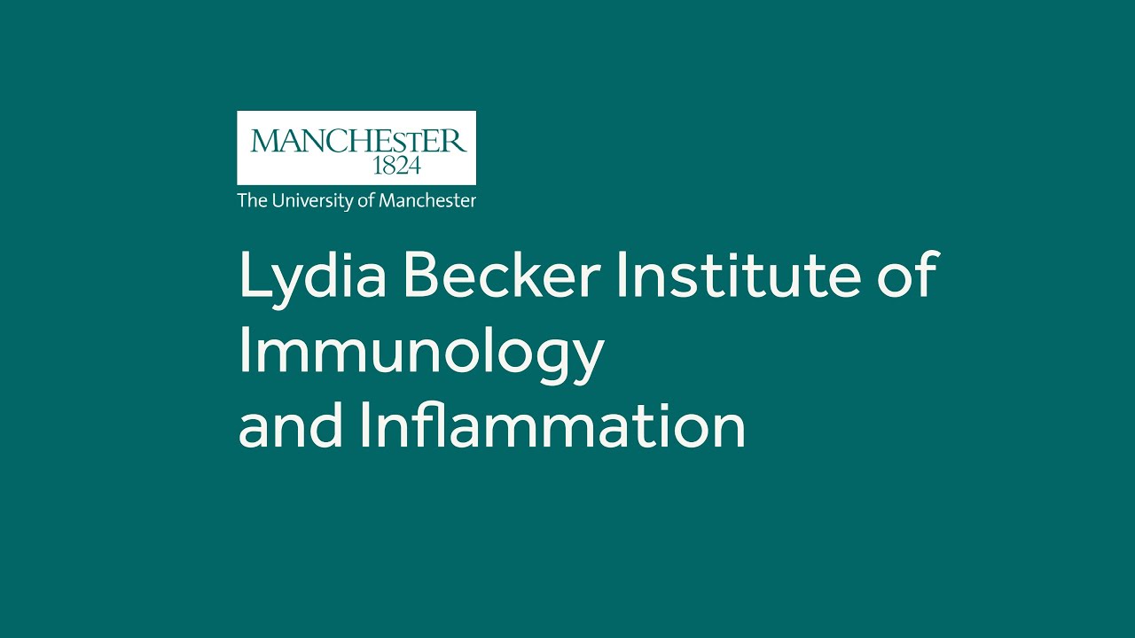 Lydia Becker Institute of Immunology and Inflammation - YouTube