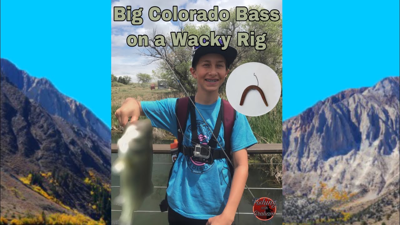 Catching Big Bass in Colorado - Wacky Rig - YouTube