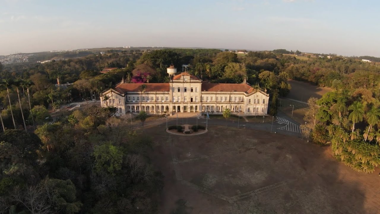 ESALQ - Escola Superior de Agricultura Luiz de Queiroz Universidade de ...