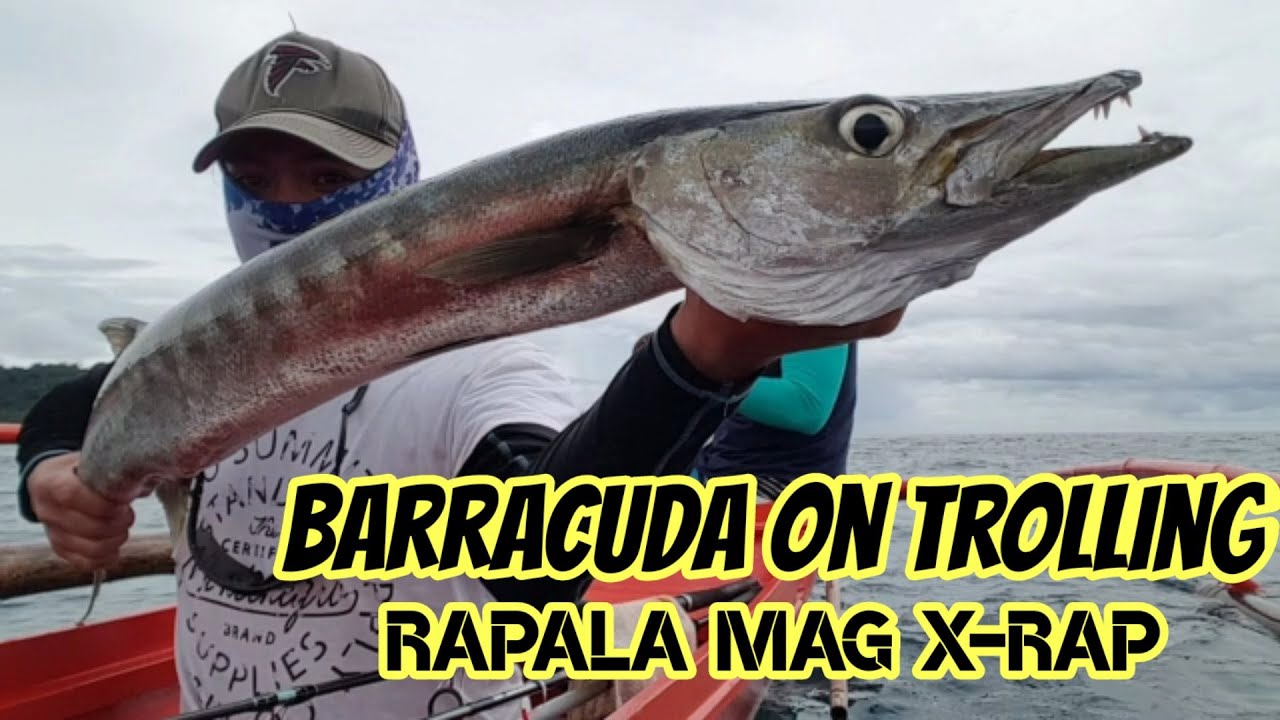 Trolling using Rapala Magnum X-rap || Barracuda || Vertical Jigging ...