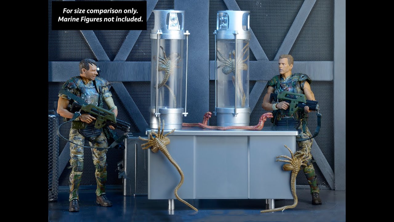 Neca Aliens Creature Pack LED Display Review - YouTube