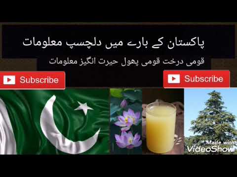 Amazing facts about pakistan general knowledge great - YouTube