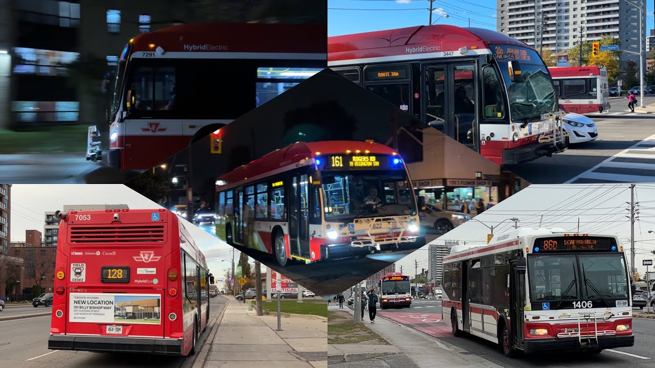 TTC Buses: Fall 2025 - YouTube