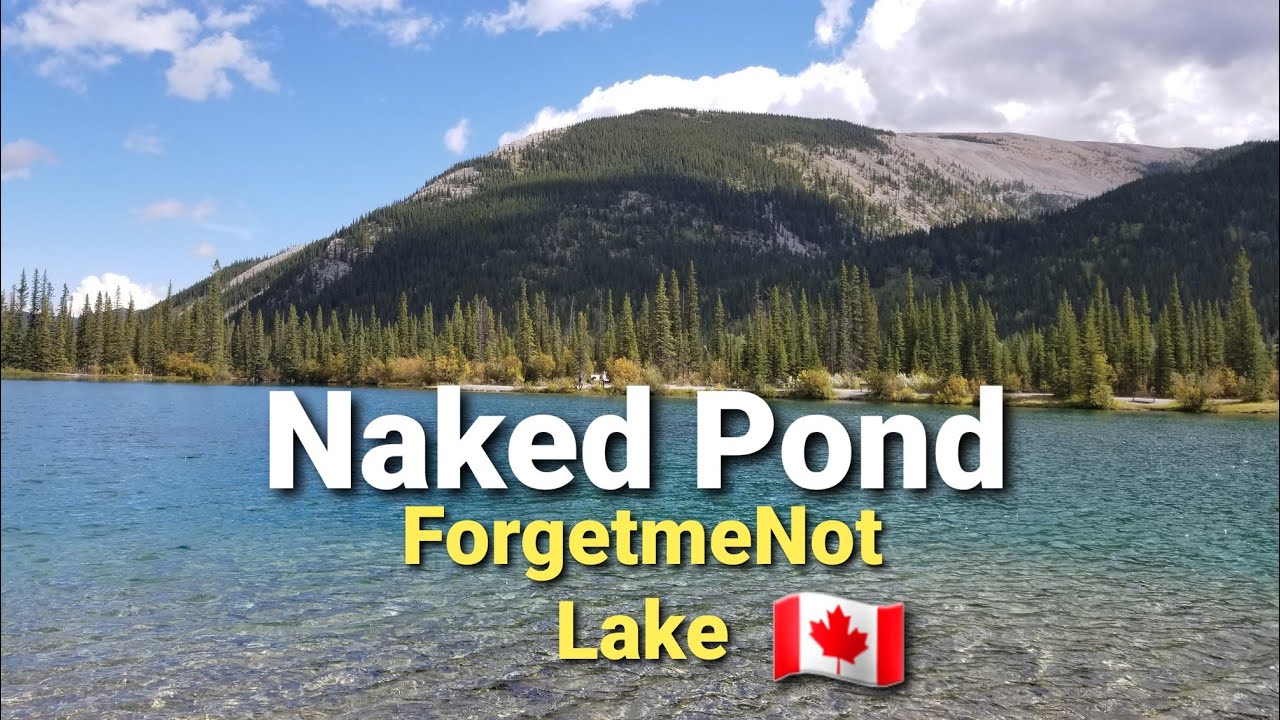Forget Me not Lake in Alberta Calgary. Remember Me 🇨🇦 - YouTube