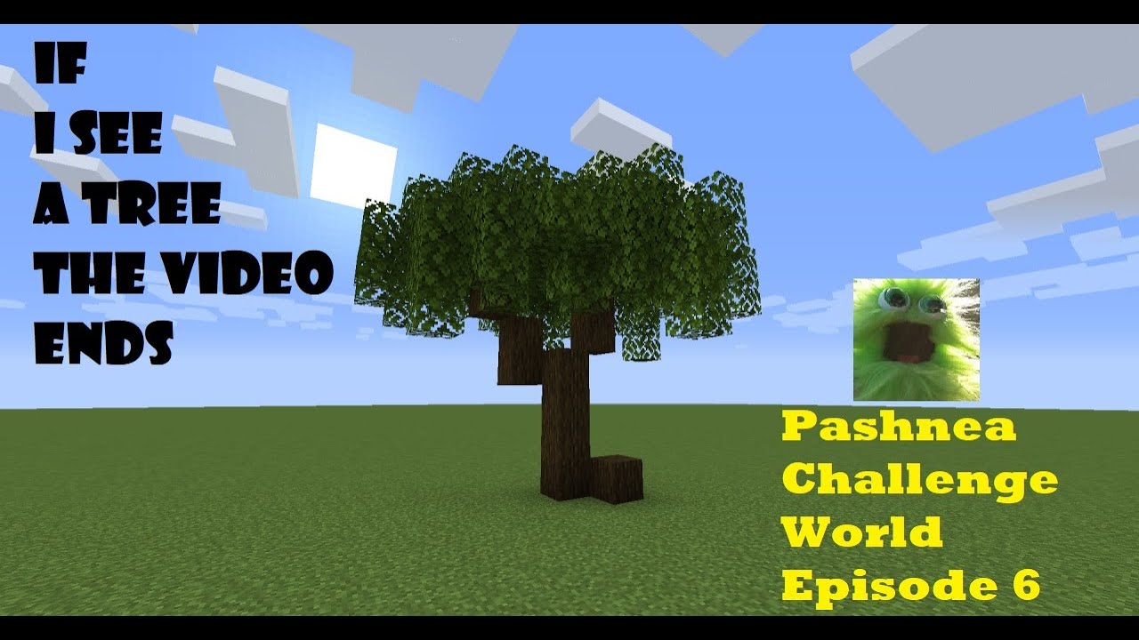 When I see a TREE, the Video Ends! | Pashnea Challenge World Episode 6 ...