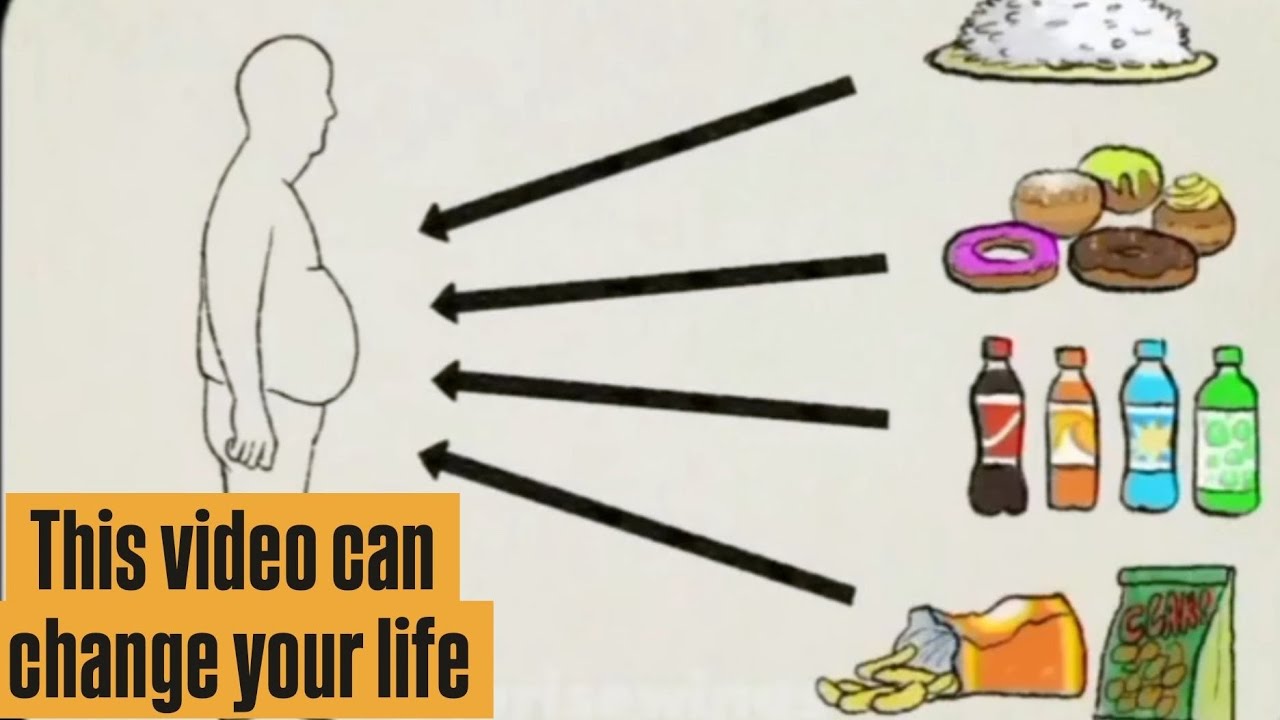 Are You Eating Too Much? Stop Overeating (Animated video) - YouTube