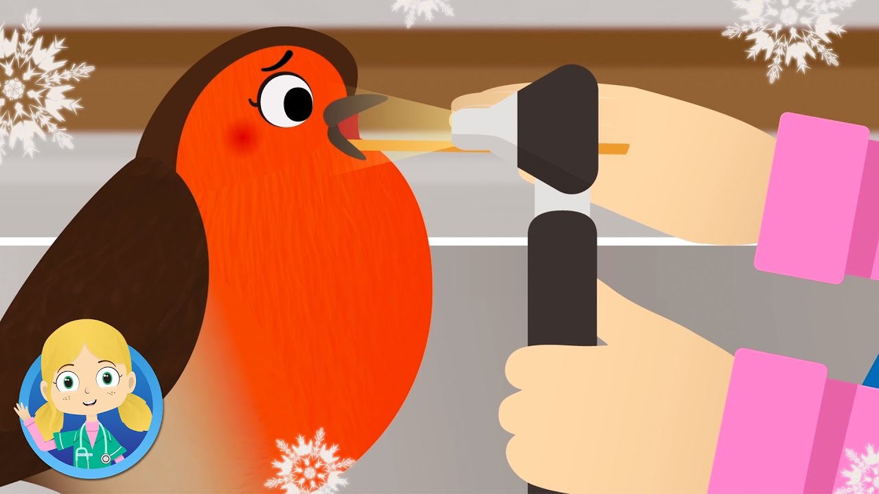 Twinkle The Christmas Robin - Doctor Poppy's Pet Rescue | Animal ...