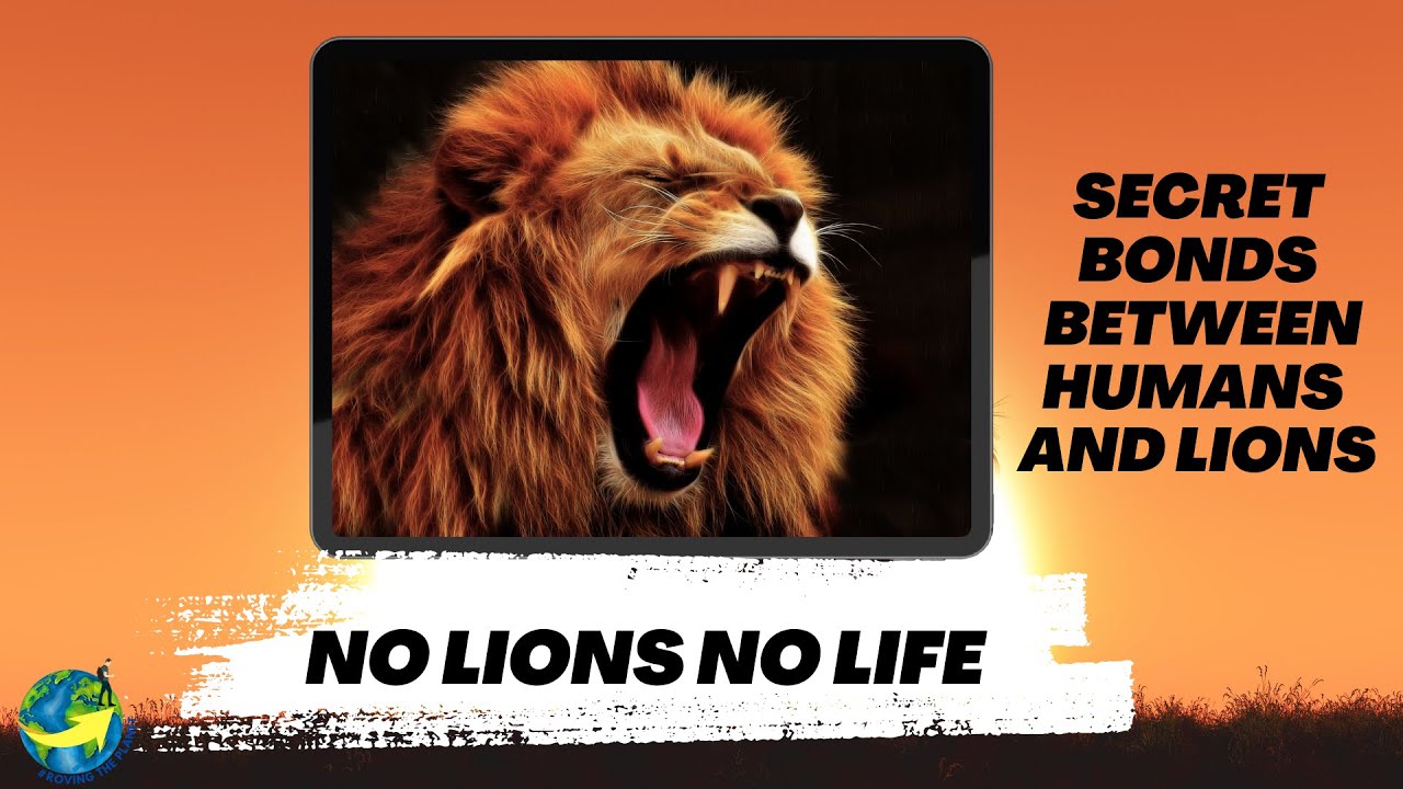 No Lions No Humans: Discover The Secret Bonds Between Humans And Lions ...