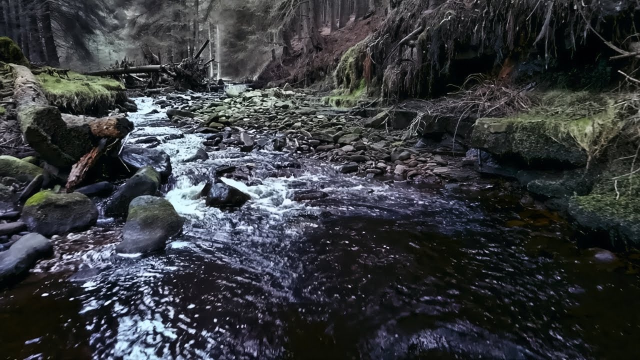 Snake Wood Snake Pass Forest Recce with Wife - YouTube
