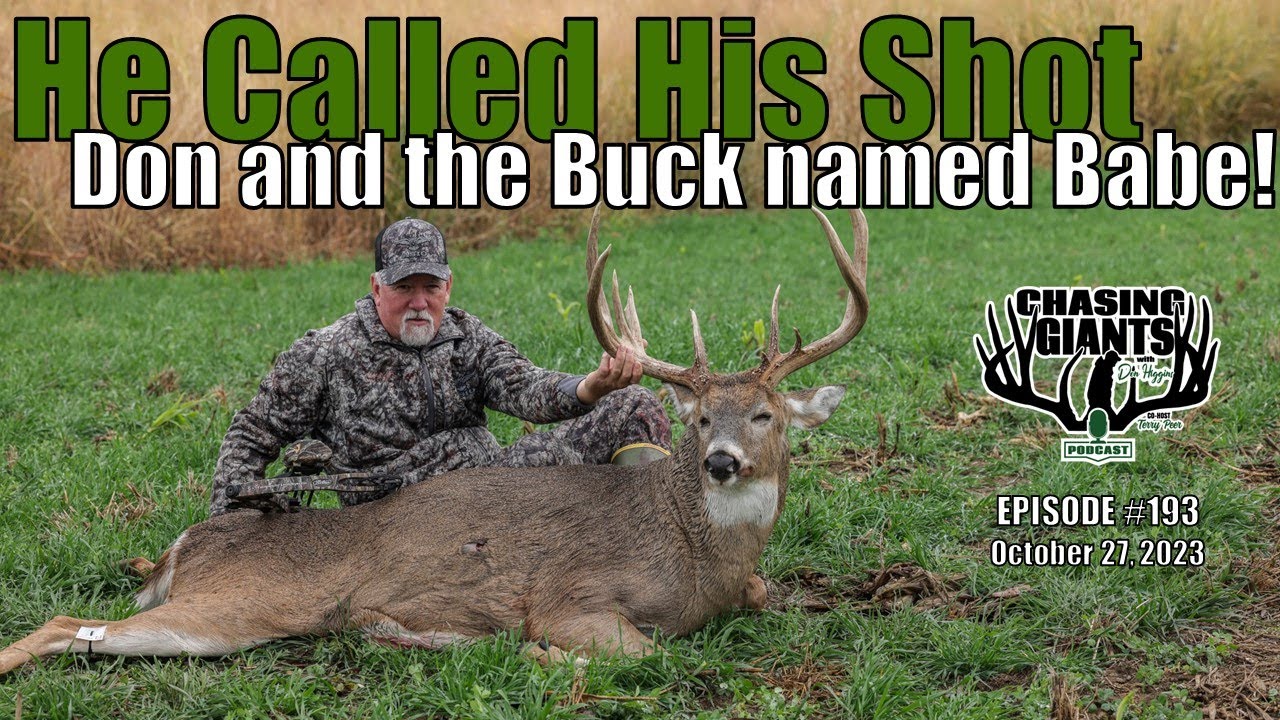 Episode #193 - BABE IS DOWN - GIANT BUCK SHOT BY DON HIGGINS - YouTube