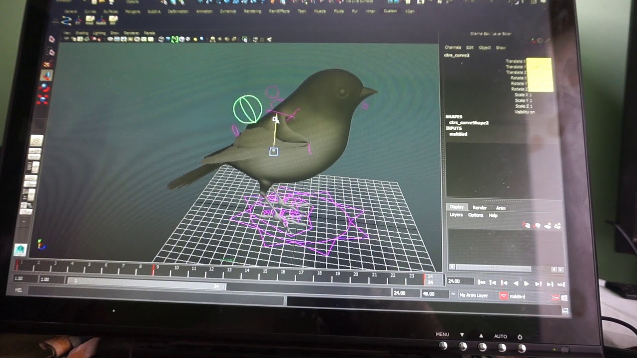 Bird rig - YouTube