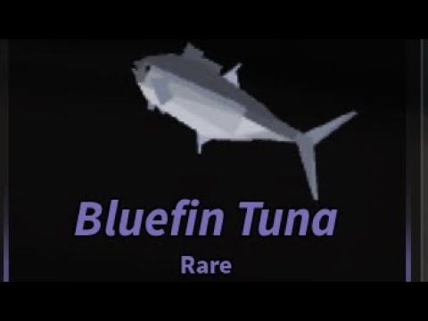 The Location For Bluefin Tuna in Roblox Fisch! - YouTube