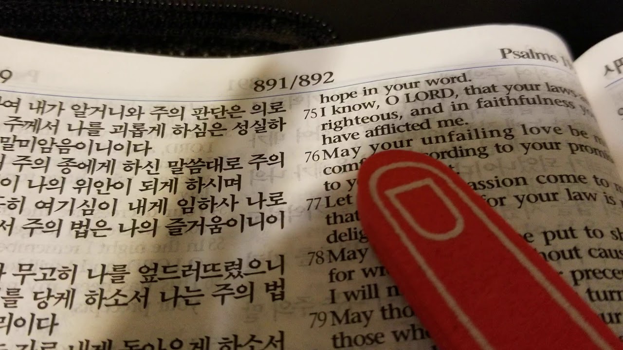 Psalm 119:76,77 두절 밤프로젝트, my comfort, my delight작은목소리, 그림자 잘안보임 - YouTube