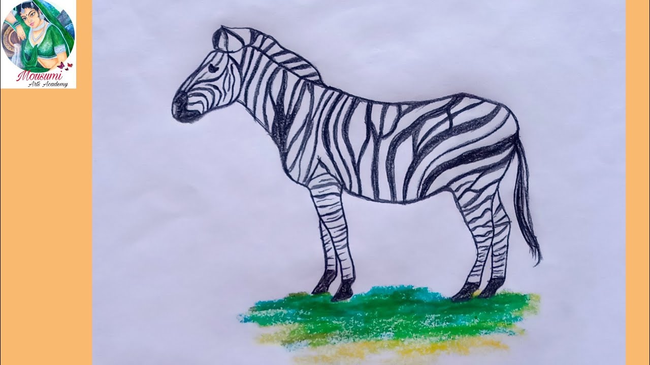 Easy Zebra Pencil Drawing