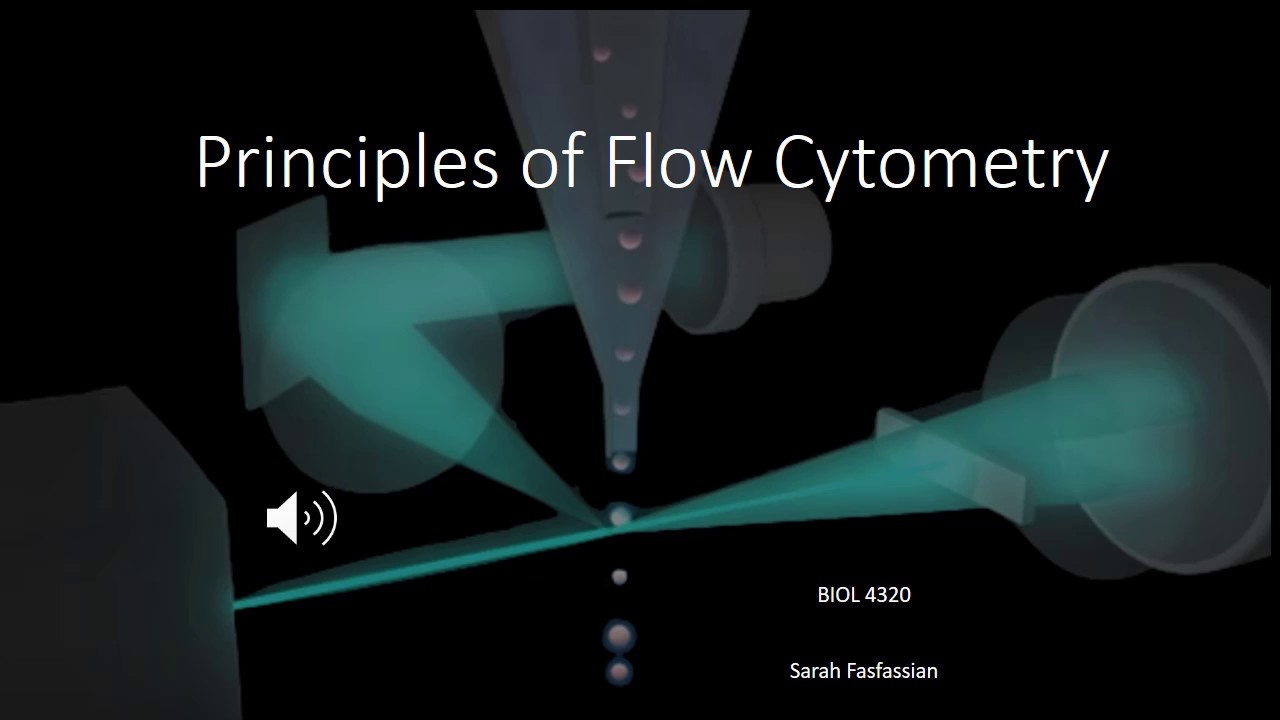 Flow Cytometry Presentation - YouTube
