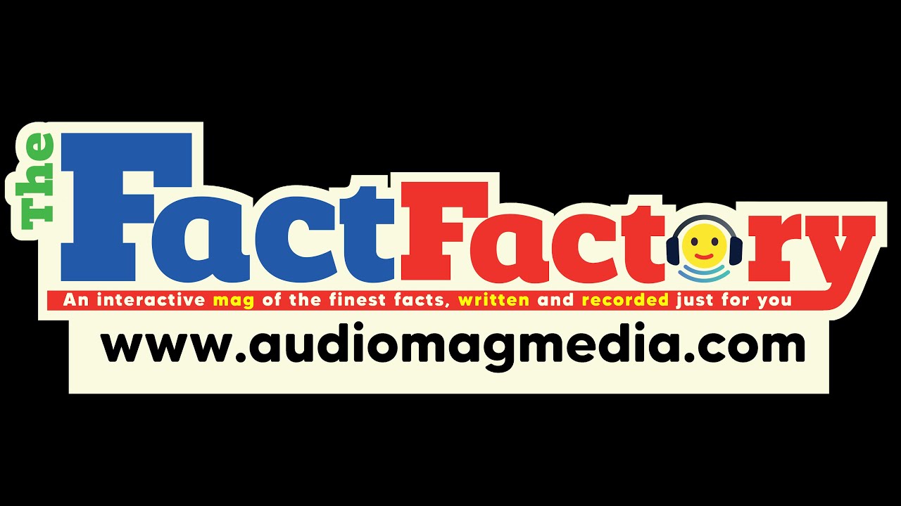 the-fact-factory-youtube