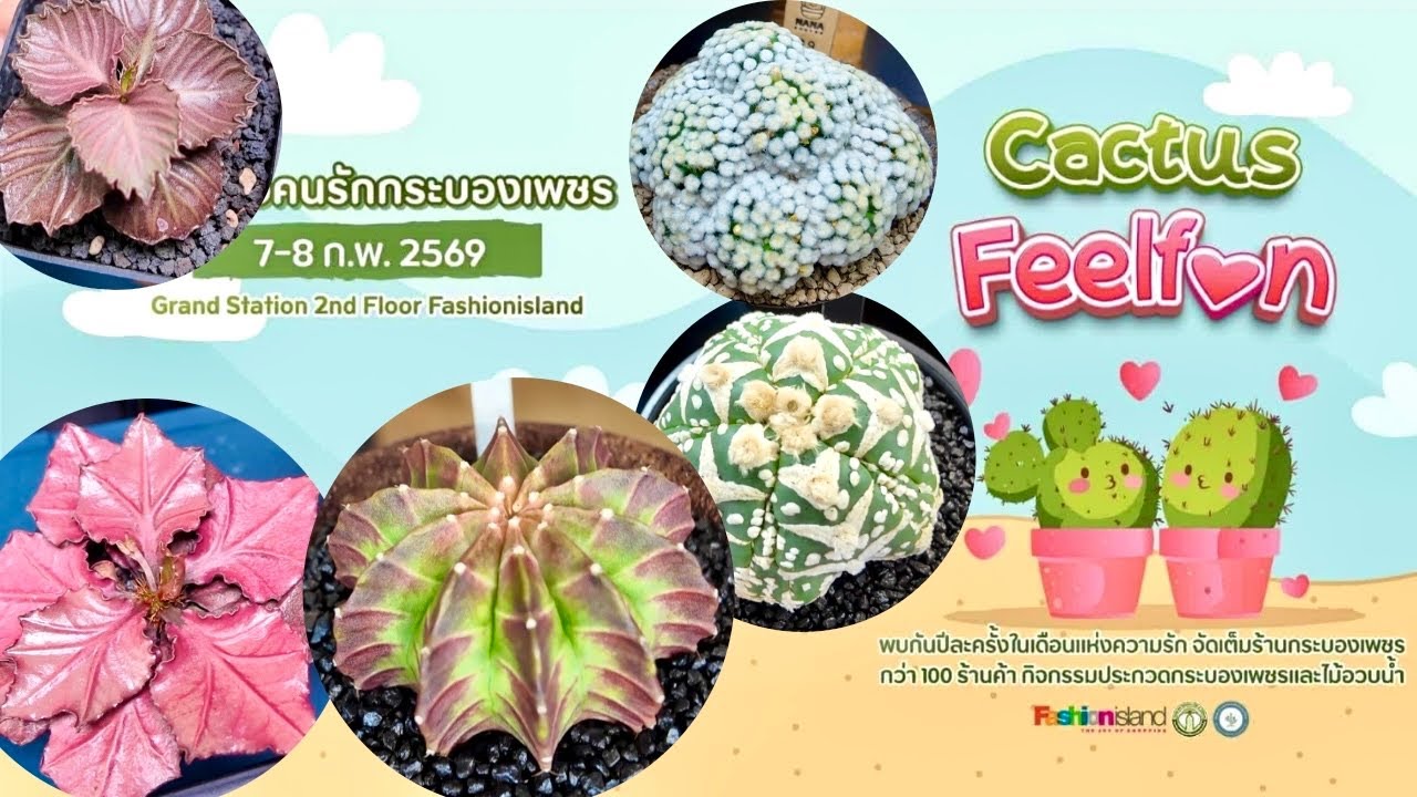 Tour Cactus Fair :🌵 Cactus Feelfan 💕at Fashion Island | 7-8 Feb 2026 ...