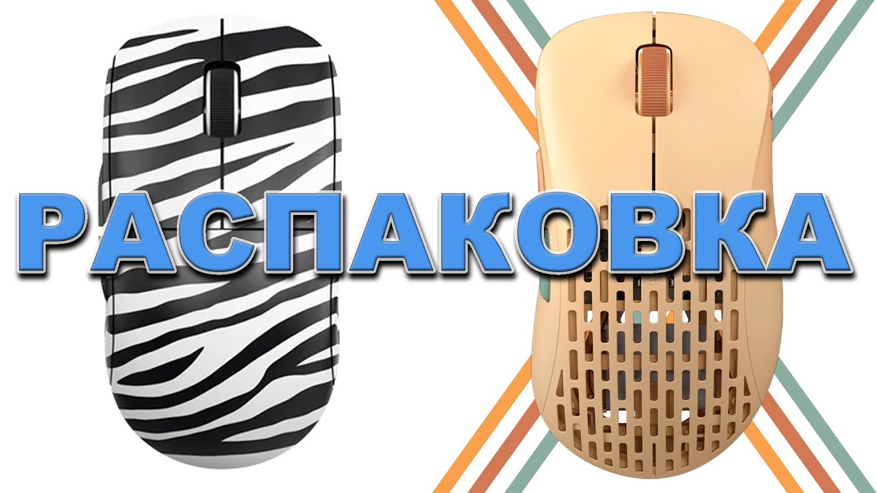 МЫШЬ ЗЕБРА И МЫШЬ РЕТРО // Распаковка Pulsar X2 Boardzy Edition и Xlite ...