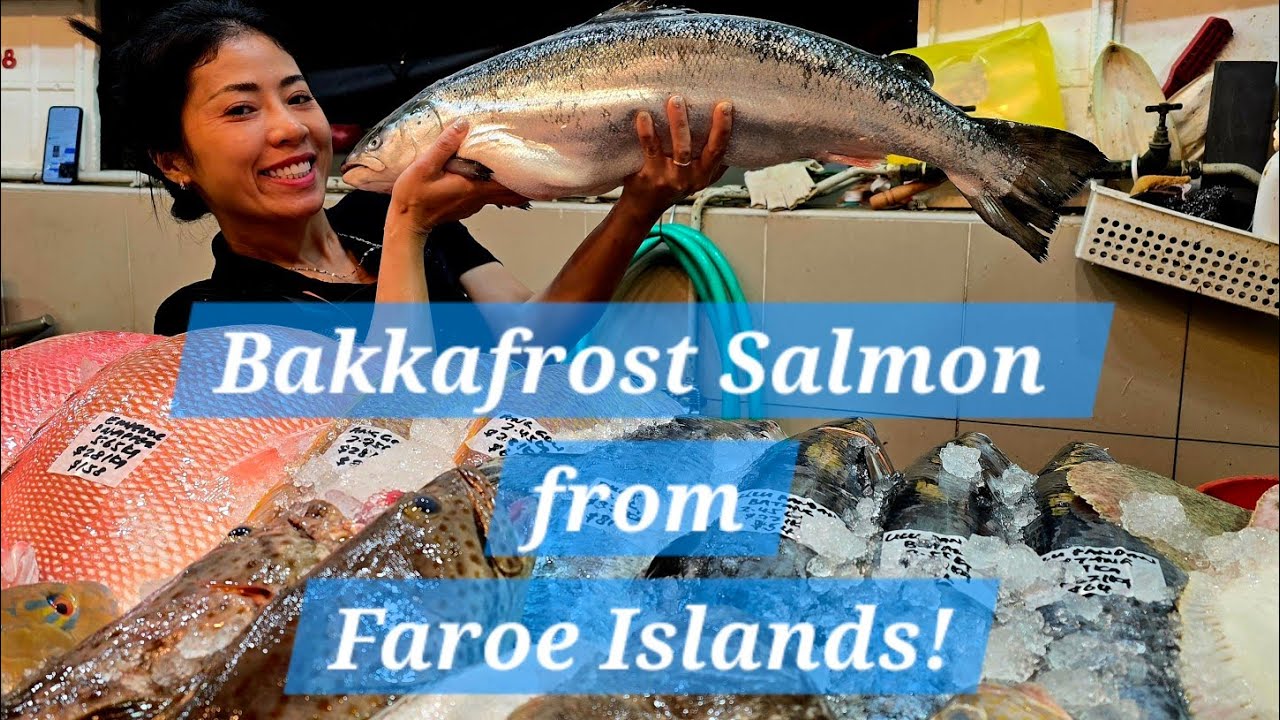 Bakkafrost Salmon from the Faroe Islands! (29 Jan 2026 Thurs) - YouTube