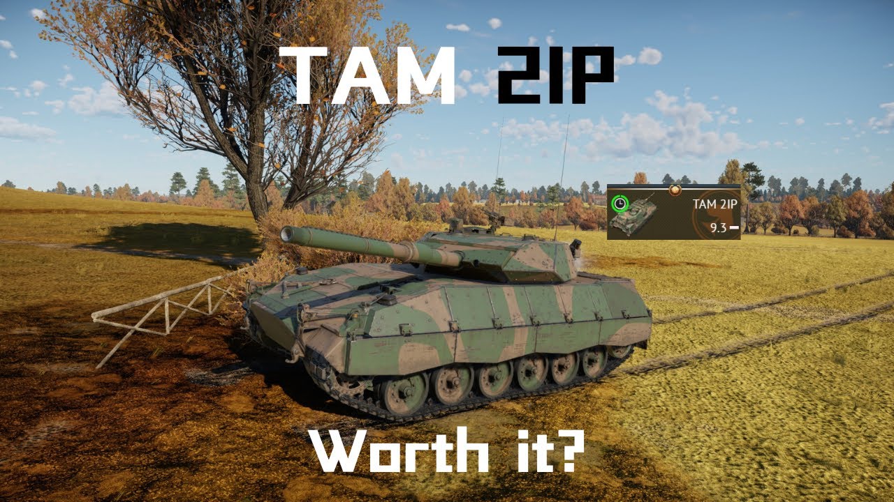 The TAM 2IP is Very Fun to Play | War Thunder - YouTube