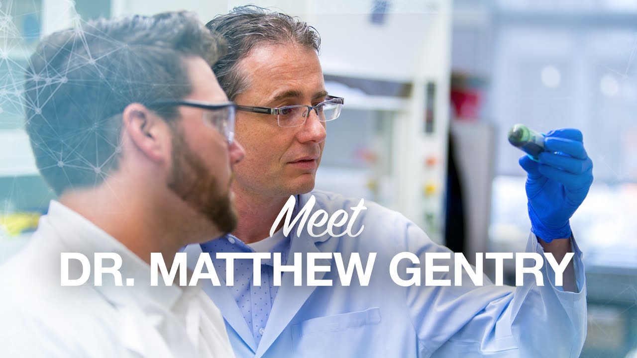People Behind Our Research: Matthew Gentry - YouTube
