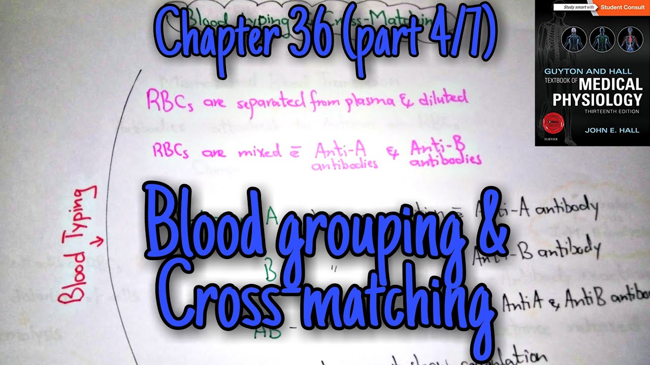 Blood grouping and cross matching - chapter 36 (part 4/7) Guyton and ...