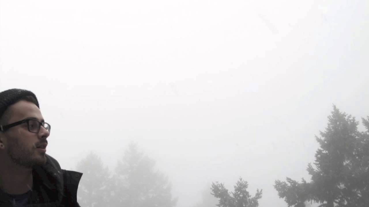 Nick Wisdom - Pollenate ft. Noble Oak (2013) - YouTube