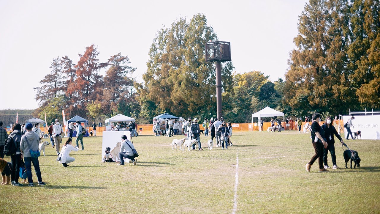 Dogs meetup event Access #1 - YouTube