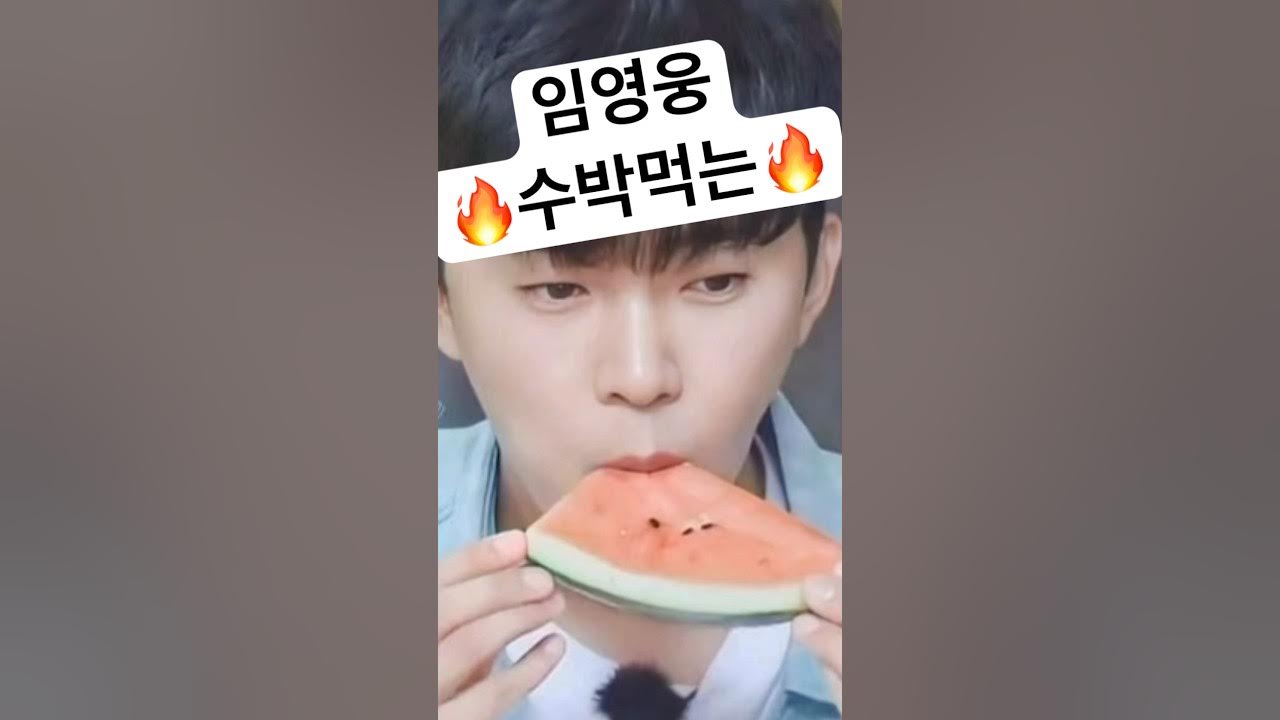 임영웅 수박먹는🤭 영웅시대 영시 건행 고척돔 리사이틀 콘서트 출근길 퇴근길 강아지 실물 시월이 라방 잔망미 인성 뉴스 미담