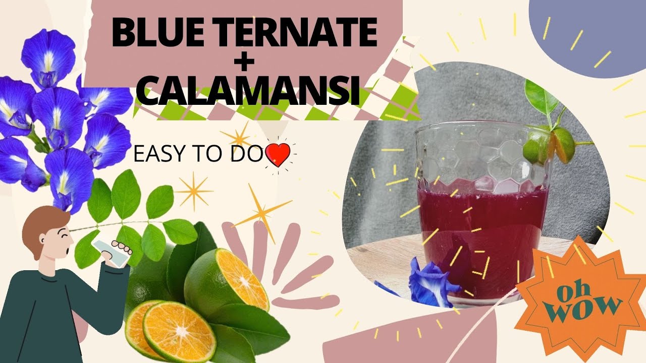 BLUE TERNATE WITH CALAMANSI I EASY TO DO I YILN-WAE-CHA - YouTube