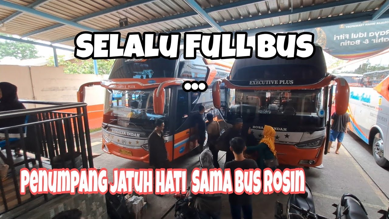 Penumpang Senang Naik Bus Rosalia Indah.. Pertama Kali Naik Bus Rosin ...