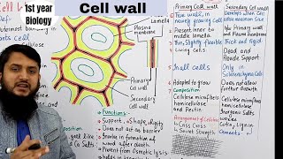 Cell Wall || Structure and function of Plant cell wall || Fsc, MDCAT, Federal board in Urdu/Hindi