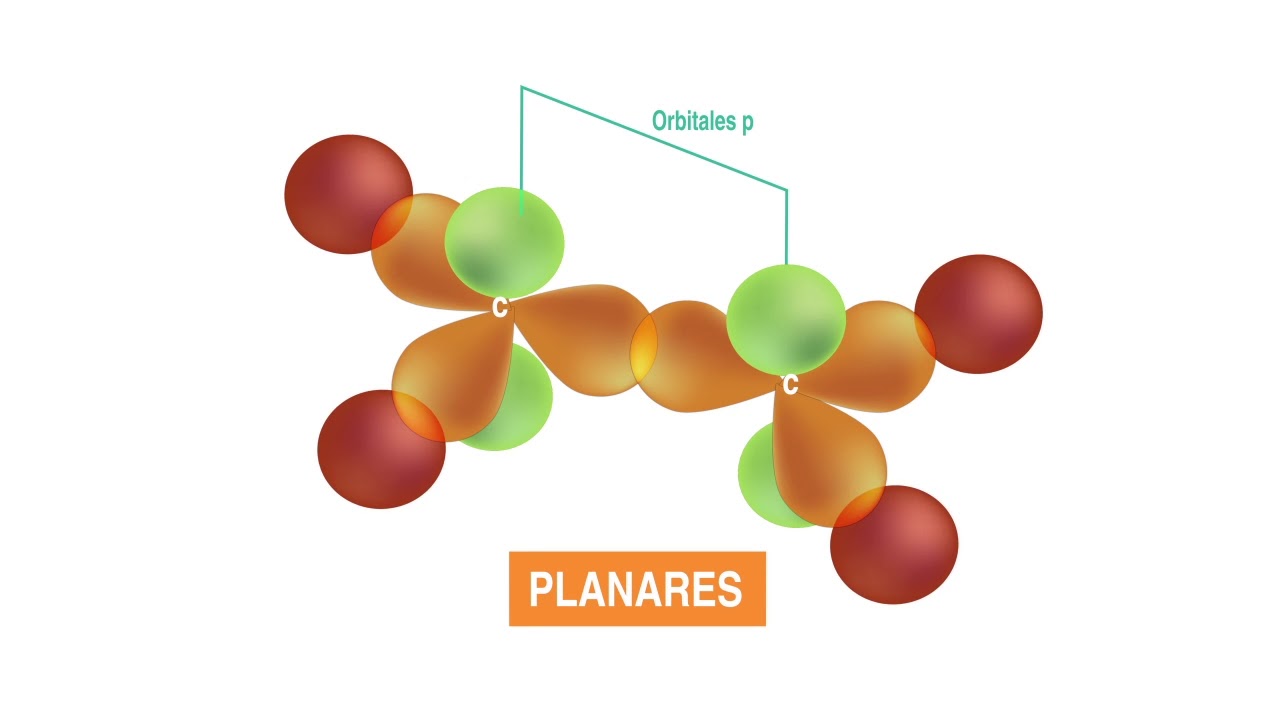 animacion hibridos SP2 - YouTube