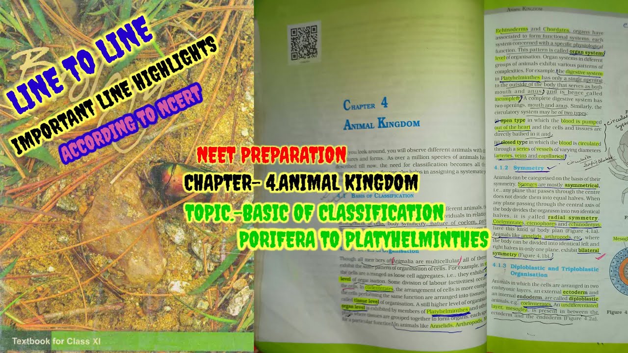 CLASS 11 BIOLOGY CHAPTER 4|ANIMAL KINGDOM|NEET PREPARATION|NEET CLASS ...