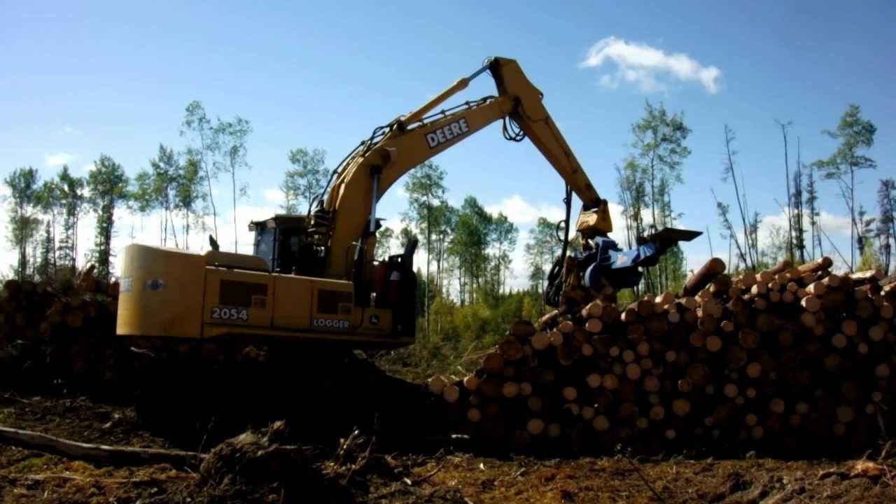 Pulp Wood Harvest - Processor At Work - YouTube