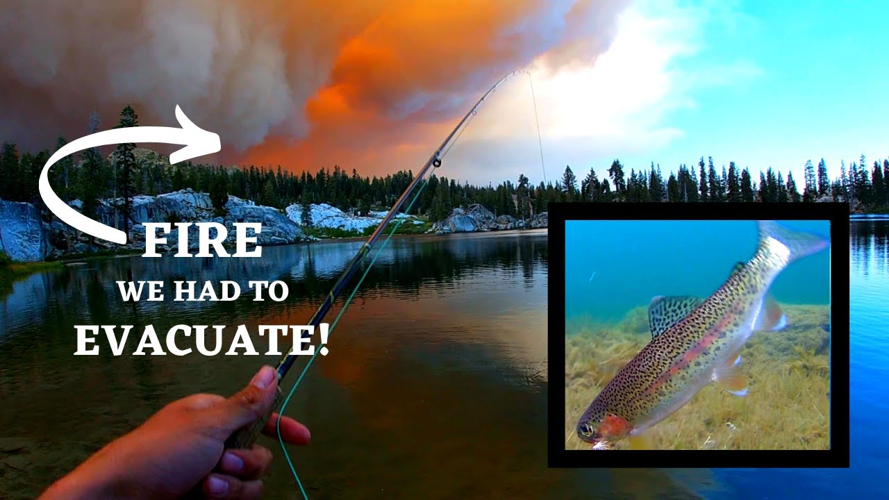 Trout Fishing Upper Twin Lakes... Fire Causes Us To EVACUATE! (Sierra ...