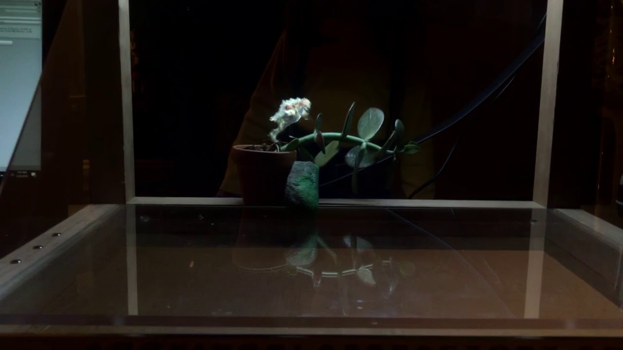 Godzilla on my succulent - YouTube