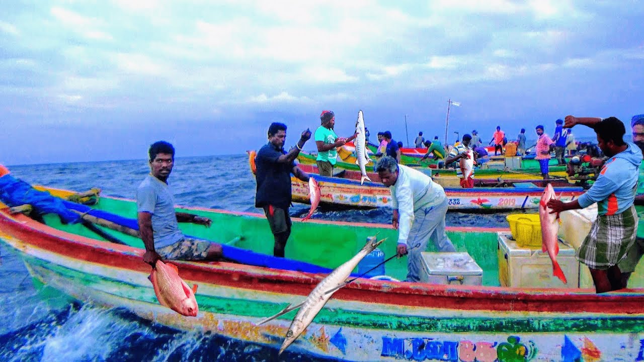 FISHING COMPETITION IN DEEP SEA !!! NEVER SEEN BEFORE !!! - YouTube