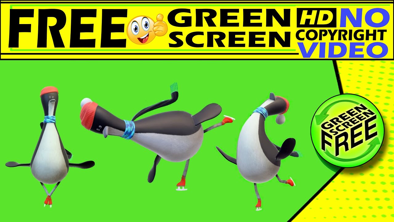 free green screen Penguin Skating video no copy right - YouTube