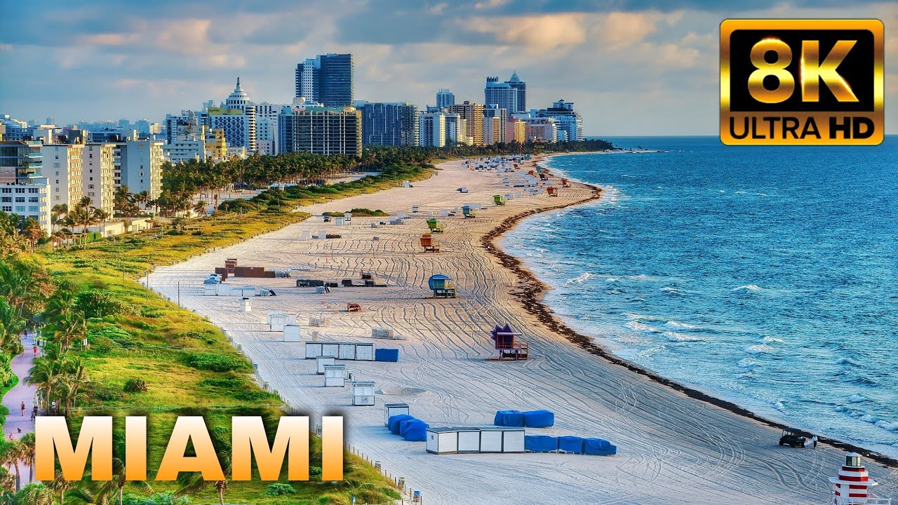 Raw Beauty of Miami 8K - YouTube