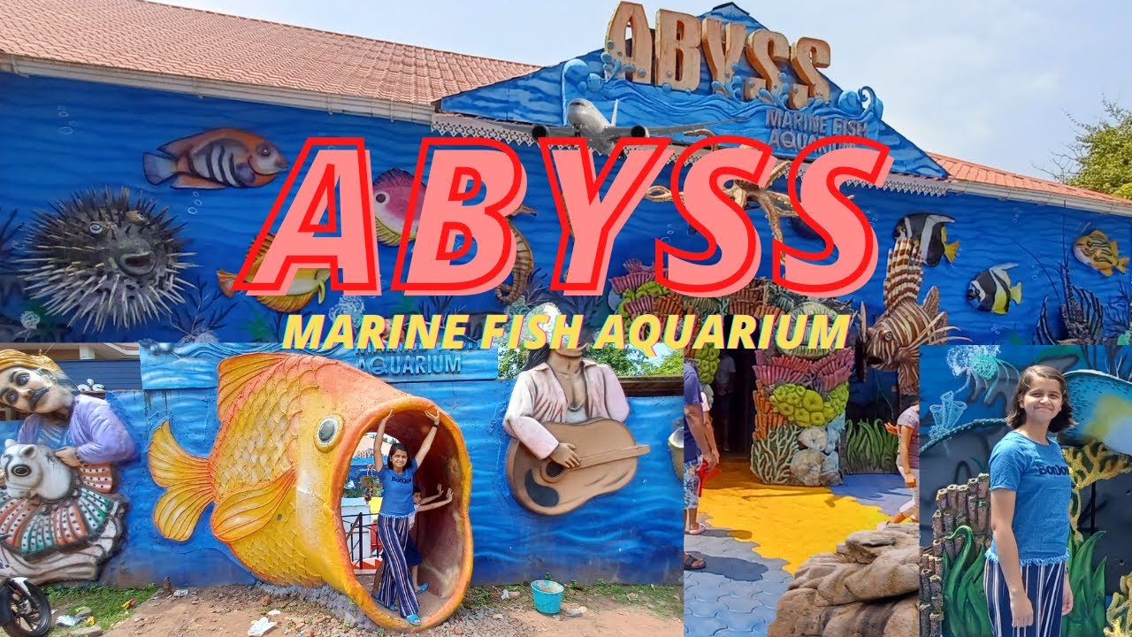Abyss Marine Aquarium | ABYSS | Fish Aquarium | GOA Museum - YouTube