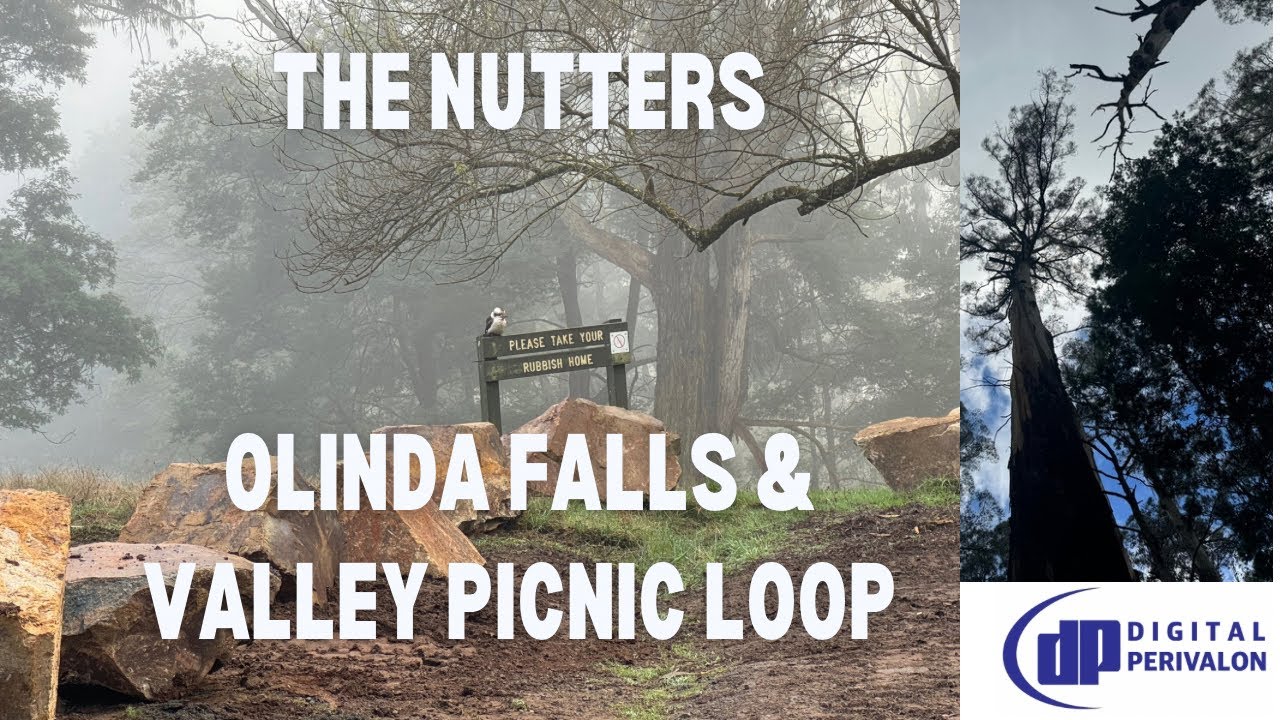 The Nutters - Hiking at Olinda Falls and Valley Picnic Loop - YouTube