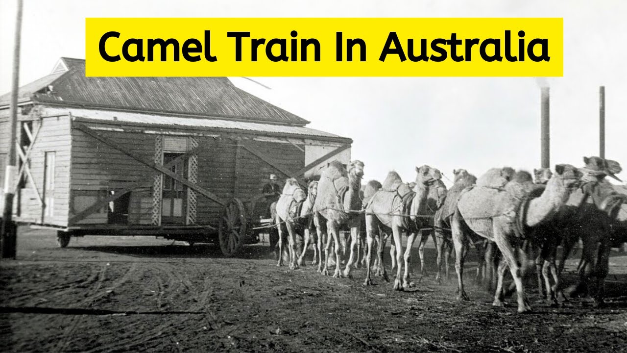 Exploring Australia's Rich History Through 42 Captivating Pictures" - A ...